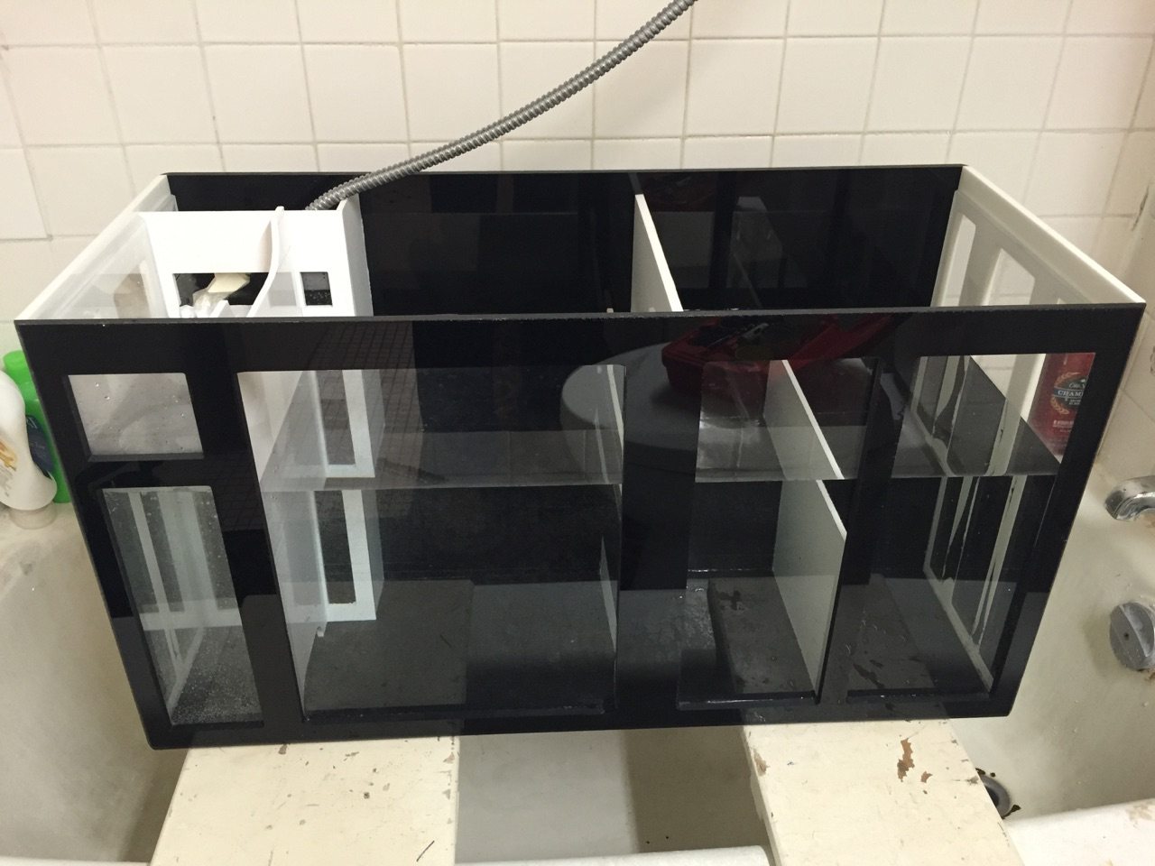 Custom Acrylic! - Frag Box Corals