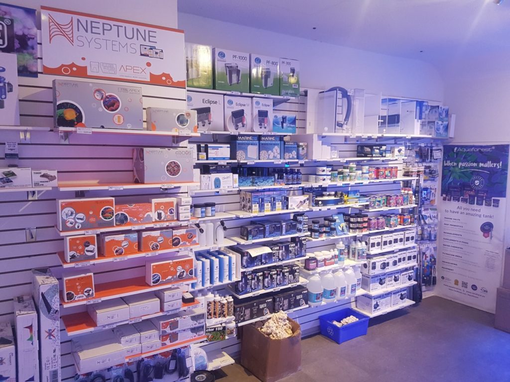 Toronto's Best Aquarium Store and Saltwater Corals