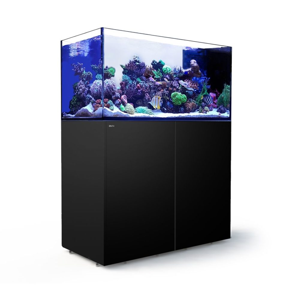Red Sea Reefer Aquariums | Fragbox Corals