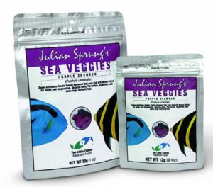 Julian Spring's Sea Veggies- Purple Seaweed - Frag Box Corals