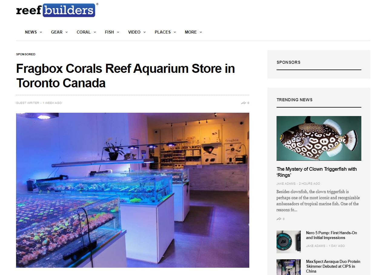 Reefbuilders Saltwater Coral Store Article - Frag Box Corals