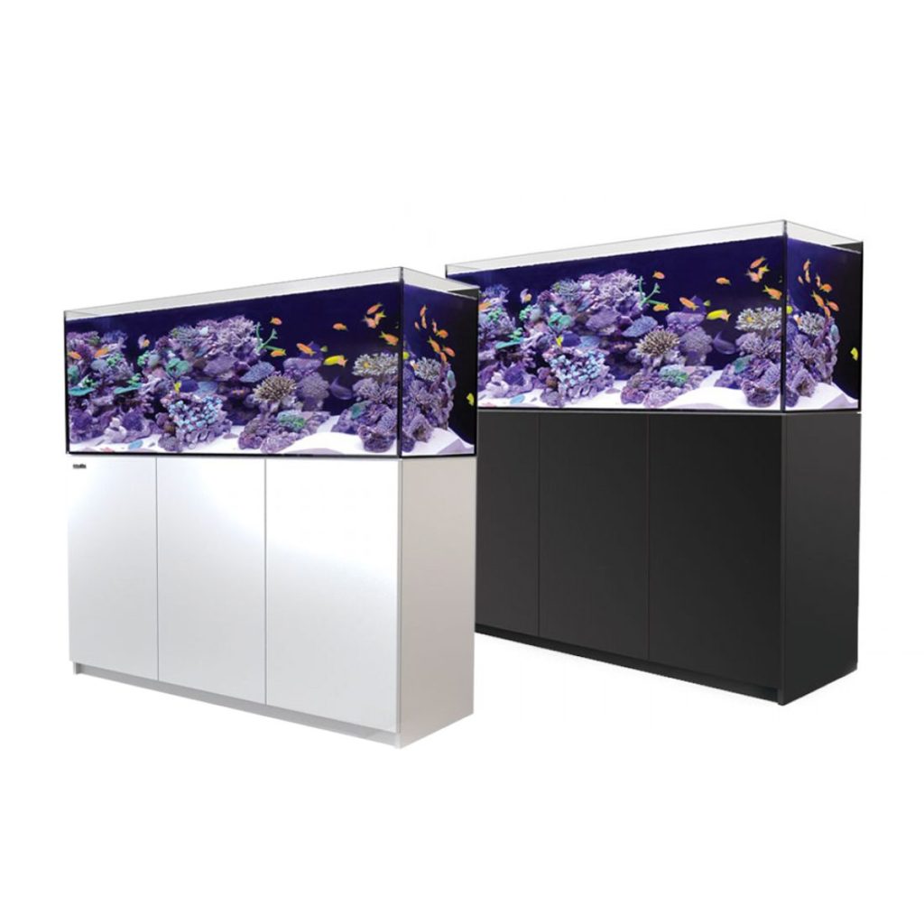Red Sea Reefer Aquariums | Fragbox Corals
