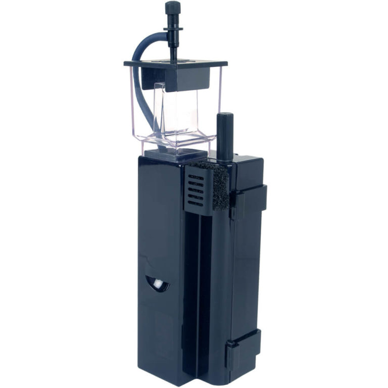 Fluval Evo 13.5 Gallon Reef Tank Upgrades - Fragbox Corals