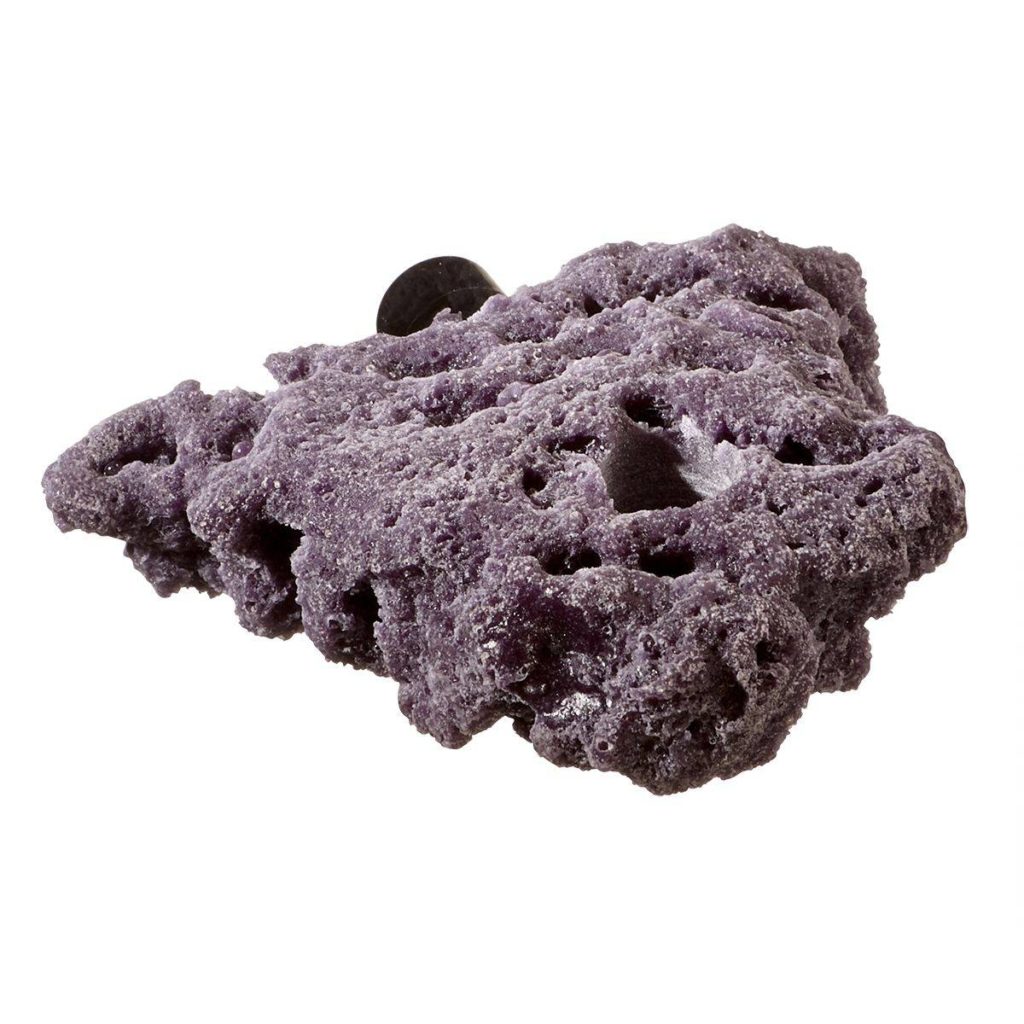 ReefRax Purple Magnetic Single Plug Shelf - Frag Box Corals