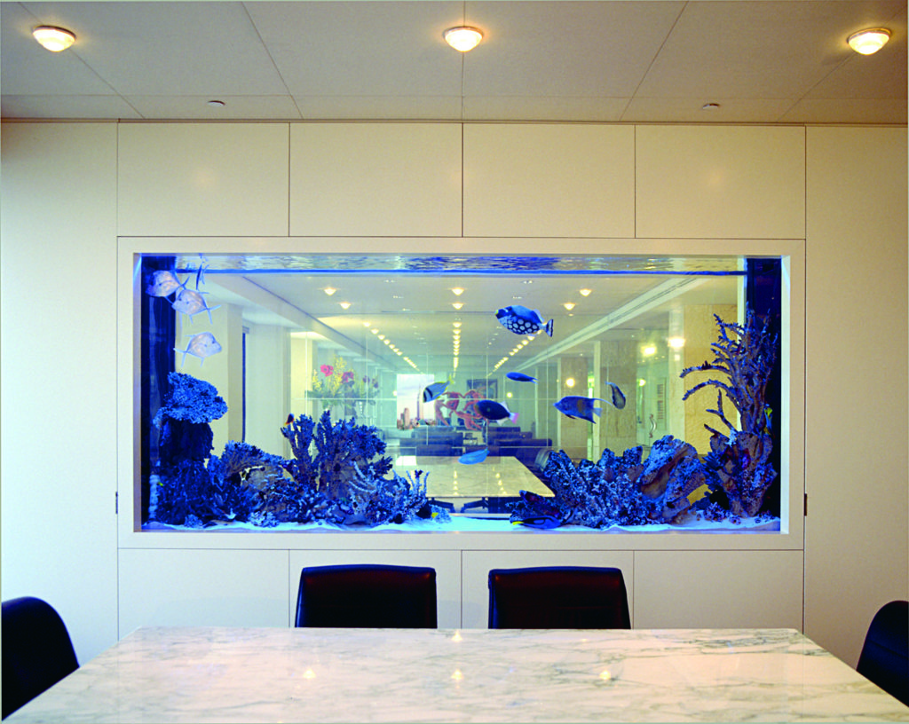 Custom Salt Water Aquariums - Frag Box Corals