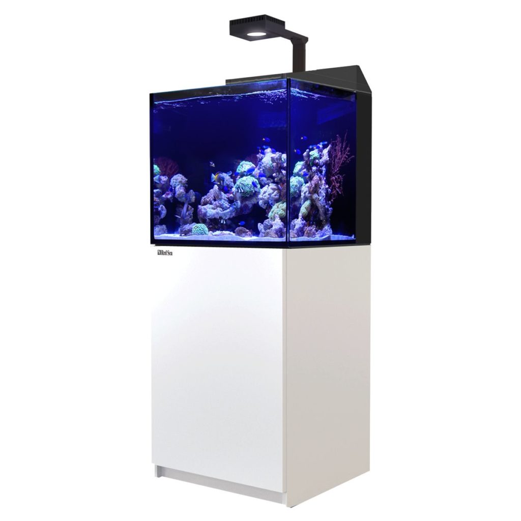 Red Sea MAX E-170 System - Frag Box Corals