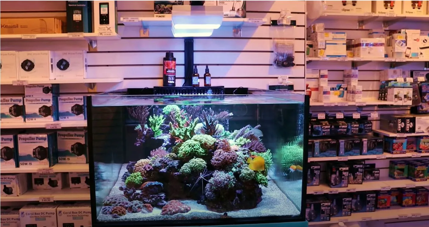 Hydra 32 HD - Frag Box Corals