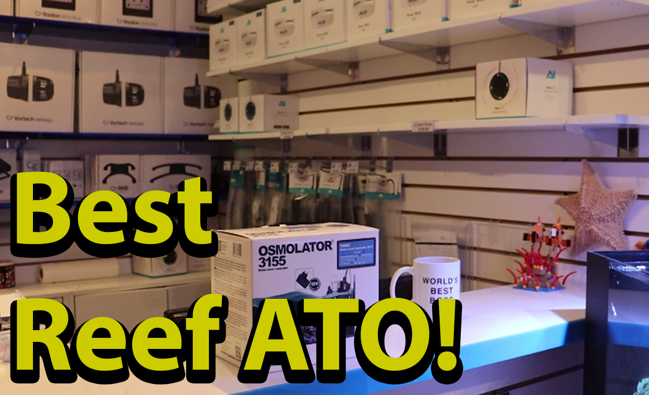 Best ATO For Aquariums - Frag Box Corals