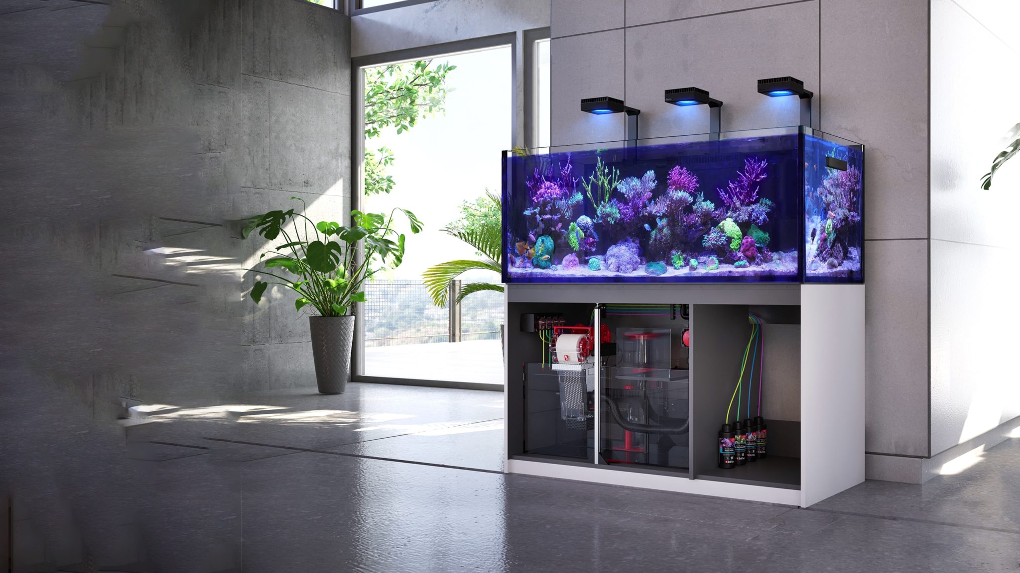 Red Sea Reefer Aquariums | Fragbox Corals