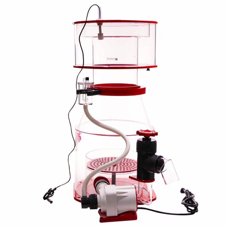 Fragbox: Canada's Best Coral Frags and Saltwater Fish Store.