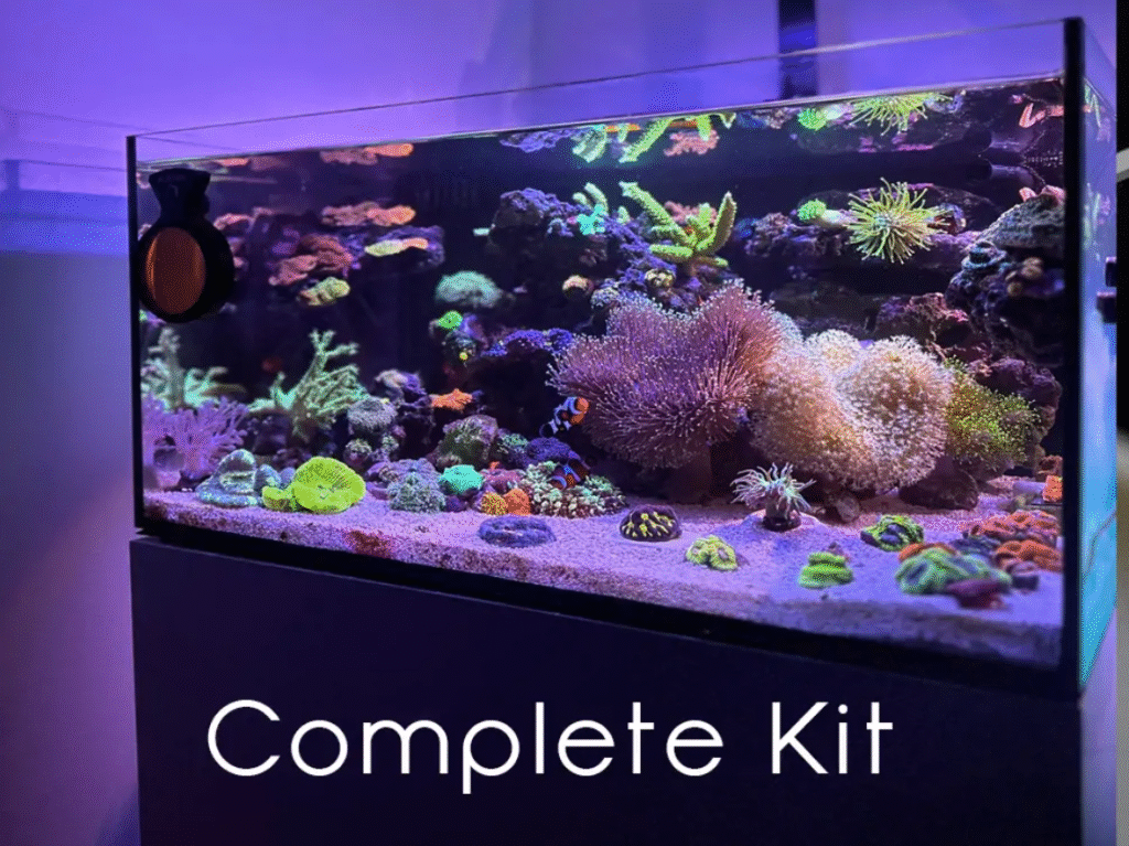 Laguna 24 Gallon Saltwater Aquarium Kit - Frag Box Corals