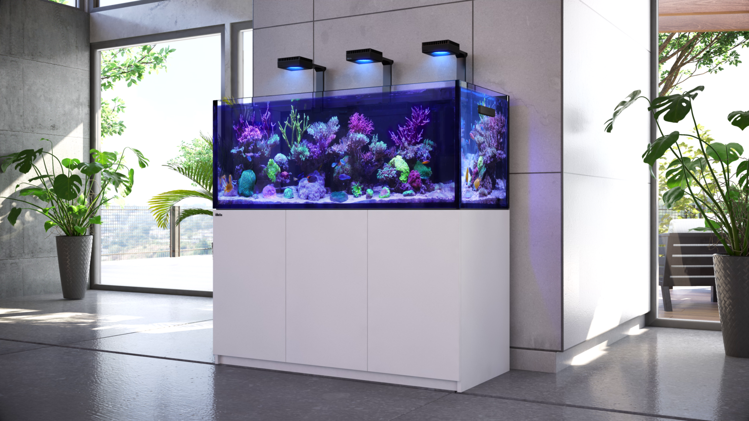 Red Sea Reefer Aquariums | Fragbox Corals