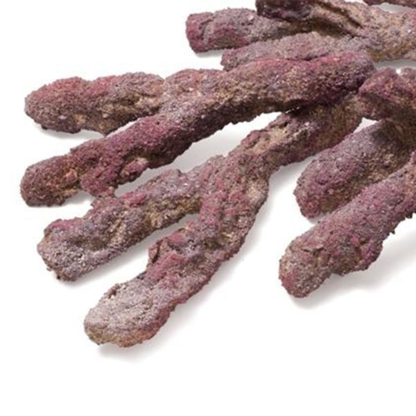 Reef Tank Marco Dry Rock - Fragbox Corals Canada