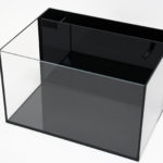 Fragbox: Canada's Best Coral Frags and Saltwater Fish Store.