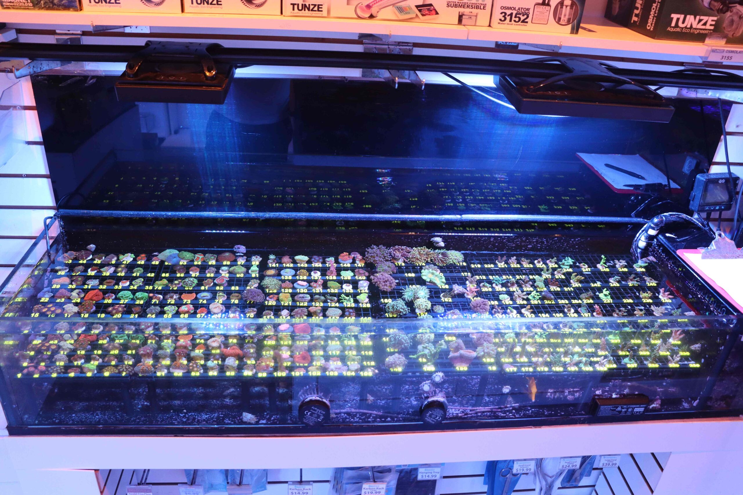 Store Pricing - Frag Box Corals