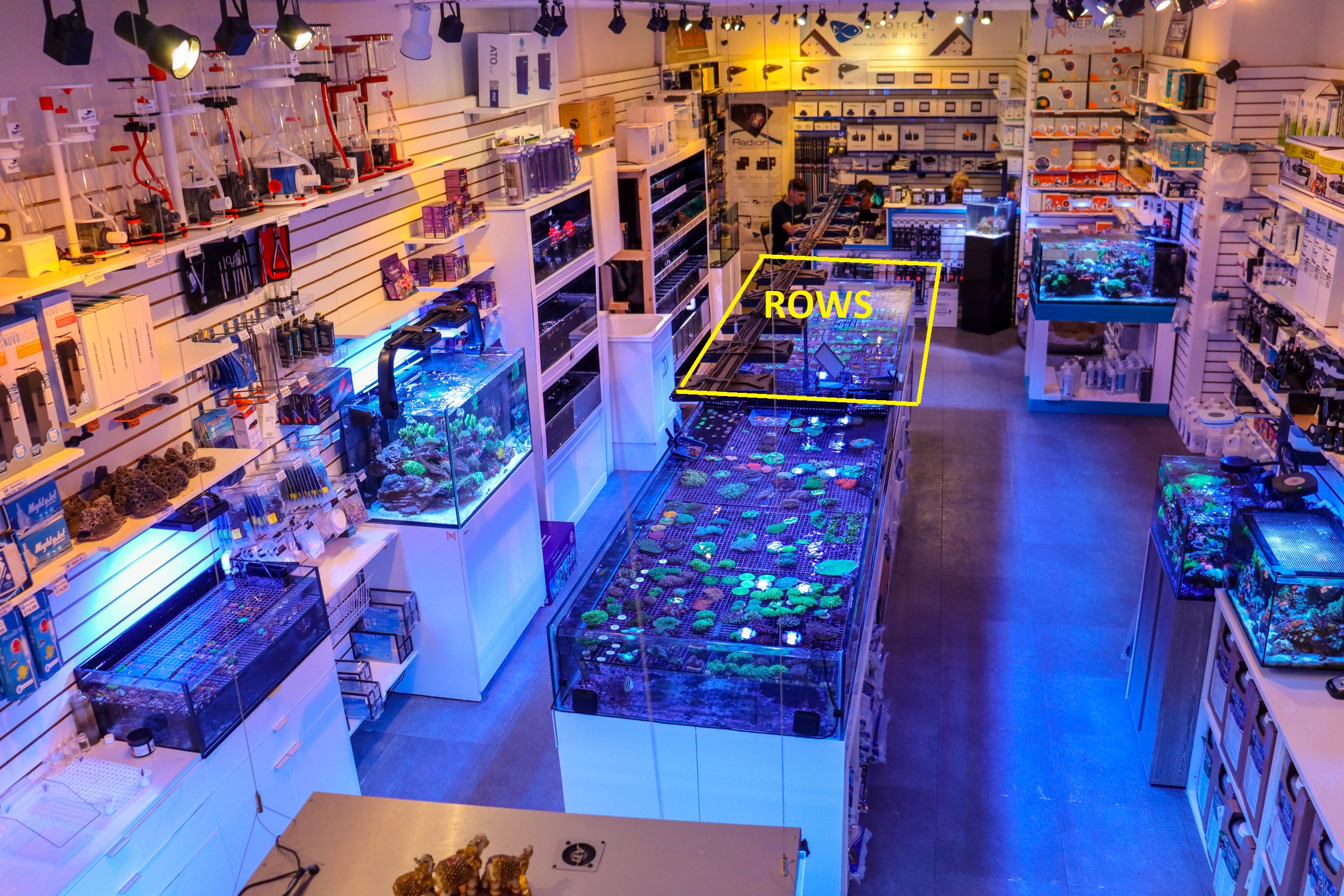 Store Pricing - Frag Box Corals