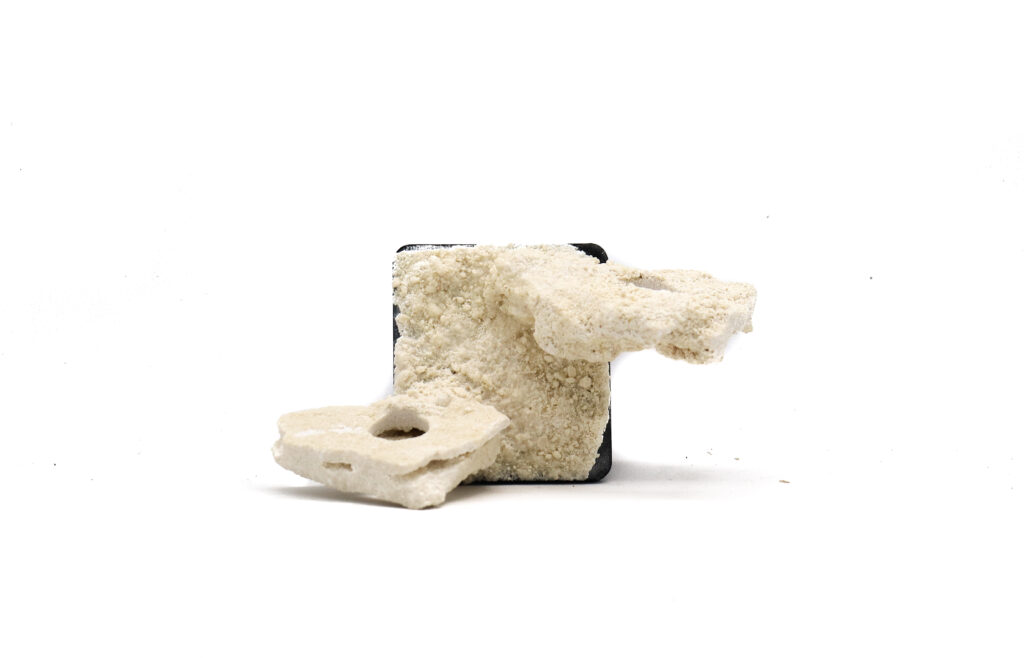 Handmade Magnetic 2 Hole Floating Frag Rack - Frag Box Corals