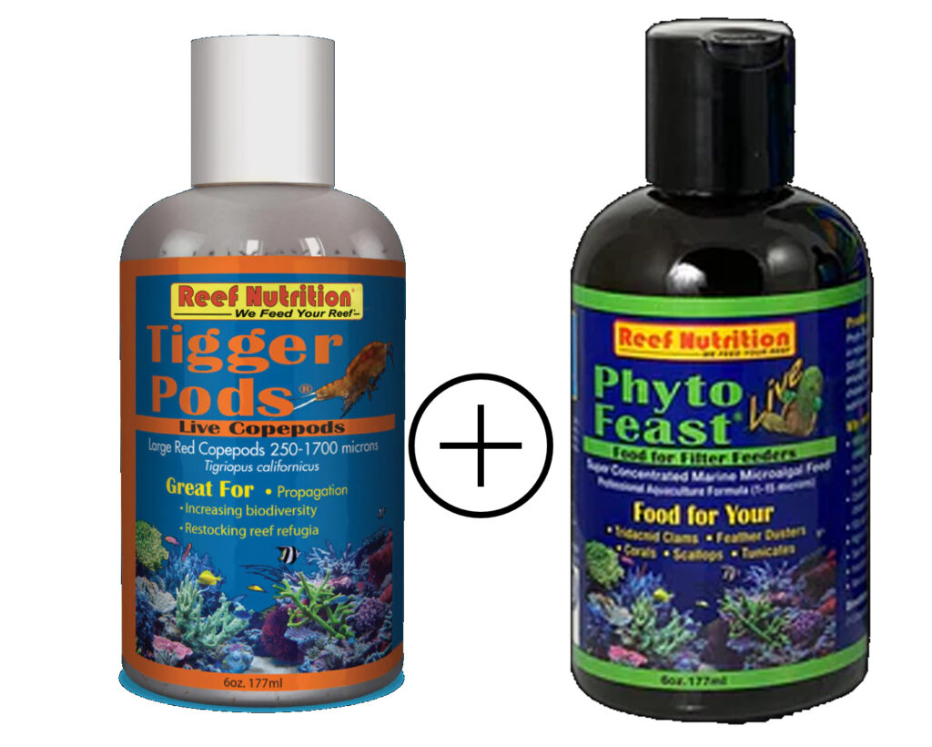 Live Phyto + Tigger Pods COMBO Pack - Frag Box Corals