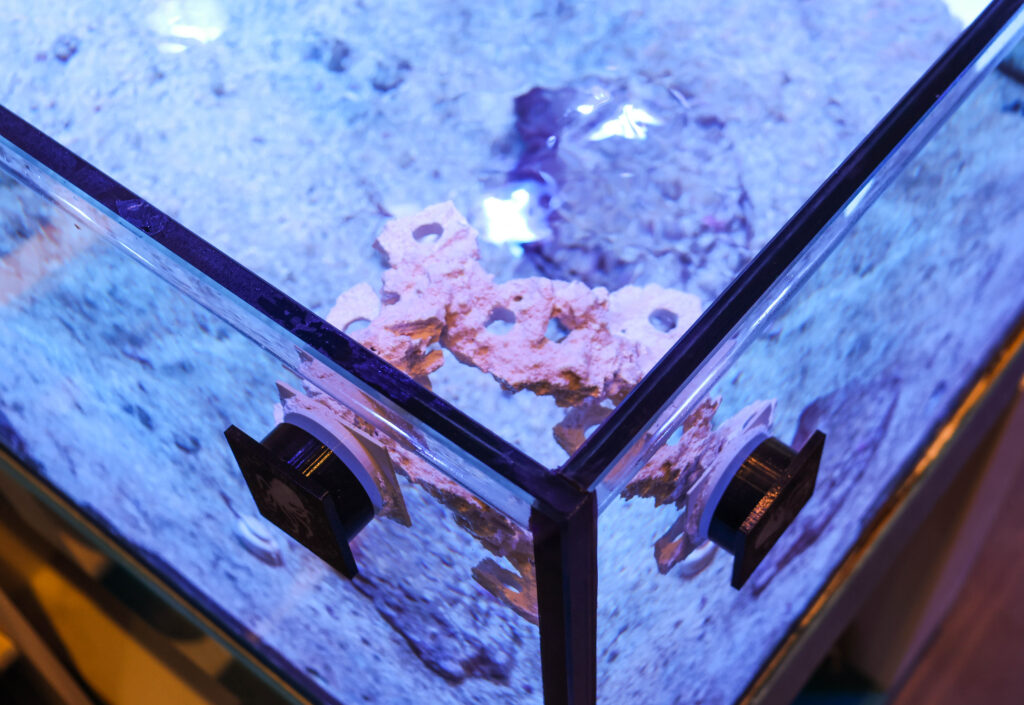 Staircase Corner Frag Rack (4-6 holes each) Hand Made - Frag Box Corals