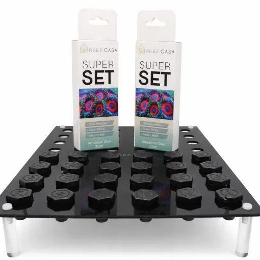 Midnight Frag Package - Frag Box Corals